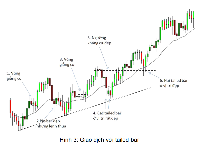 TAIL BAR - ITIGTrader